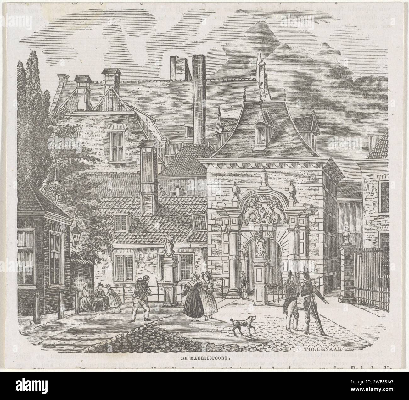 Vink tollenaar hi-res stock photography and images - Alamy