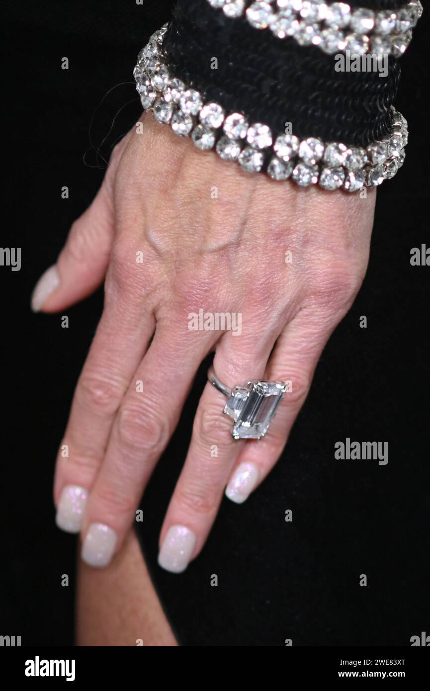 New York, USA. 23rd Jan, 2024. Bethenny Frankel attends FX's 'Feud ...