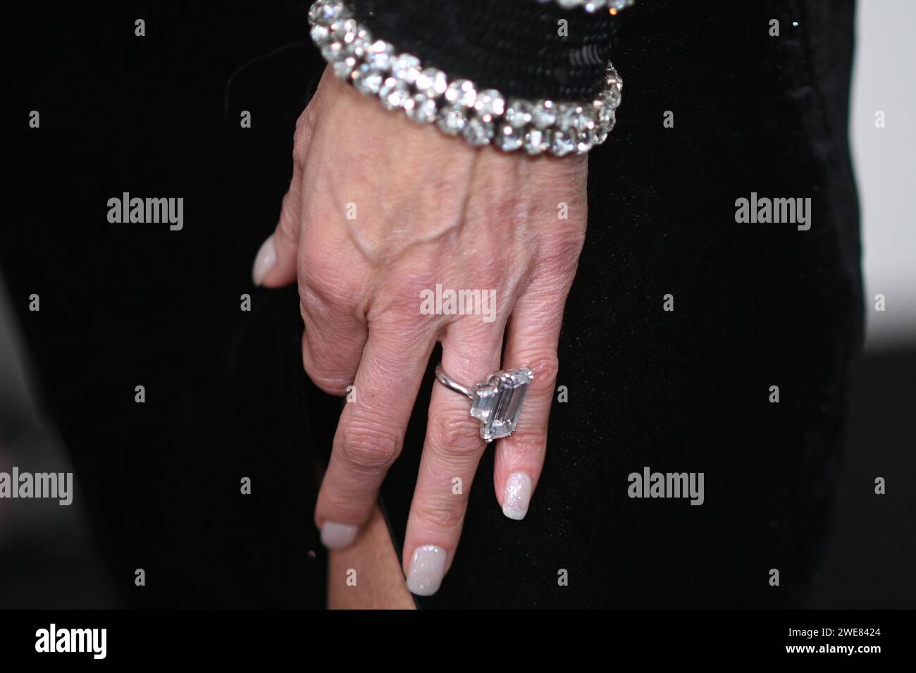 New York, USA. 23rd Jan, 2024. Bethenny Frankel attends FX's 'Feud ...