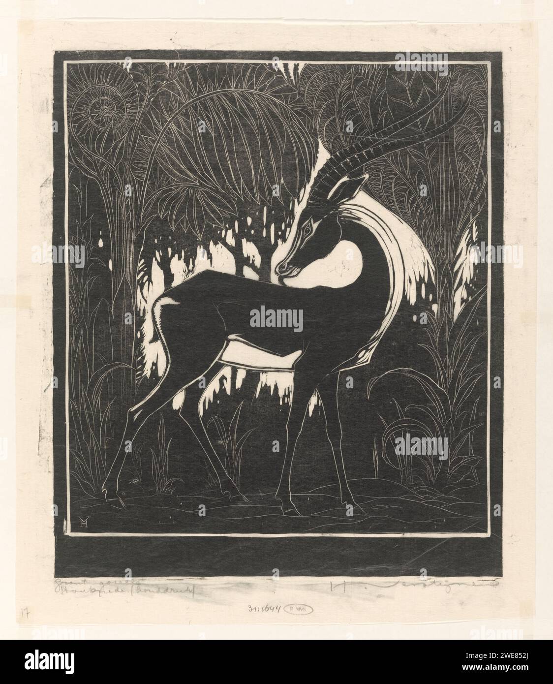 Grant Gazelle, Henri Verstijnen, 1892 - 1931 print Japanese paper ...