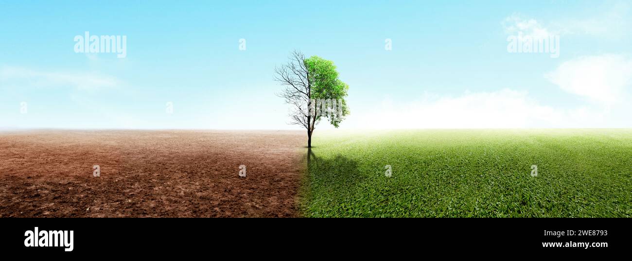 The difference between drought trees to growing trees on the ground ...