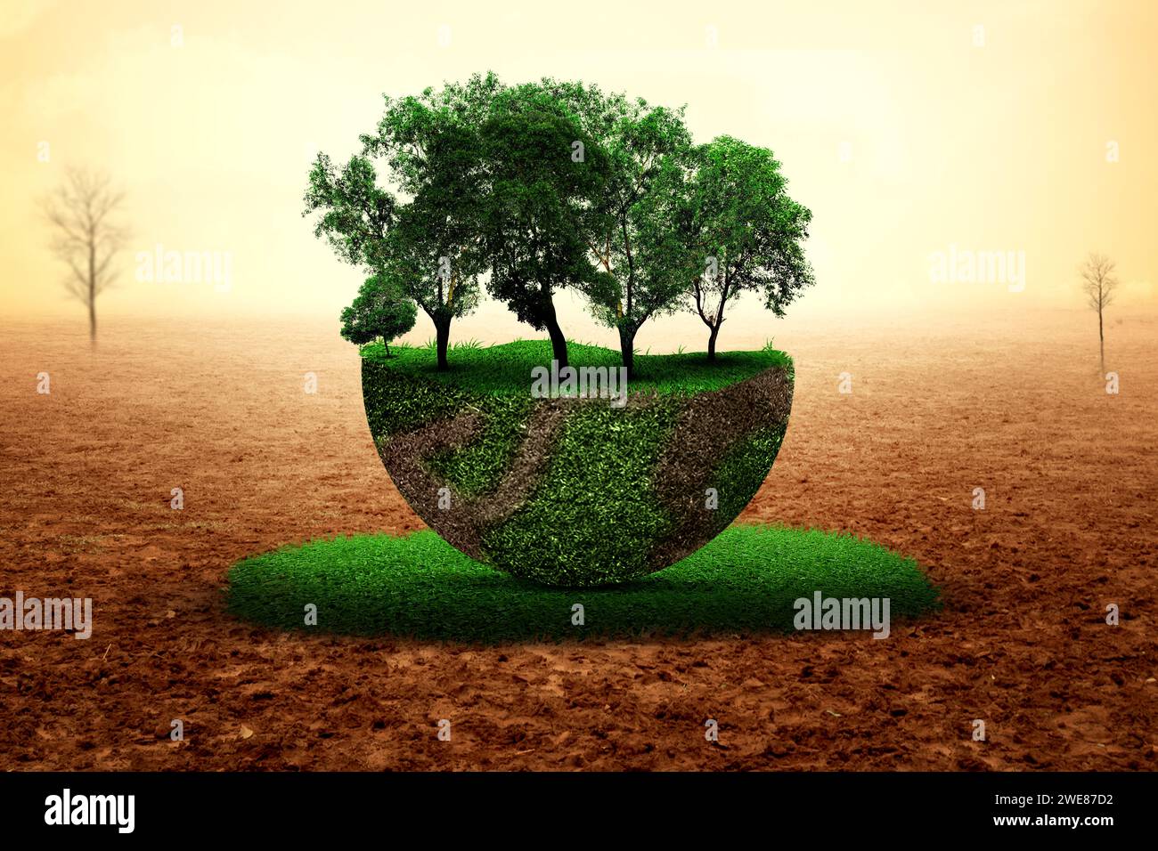 A grown tree on fertile land with a drought field background ...