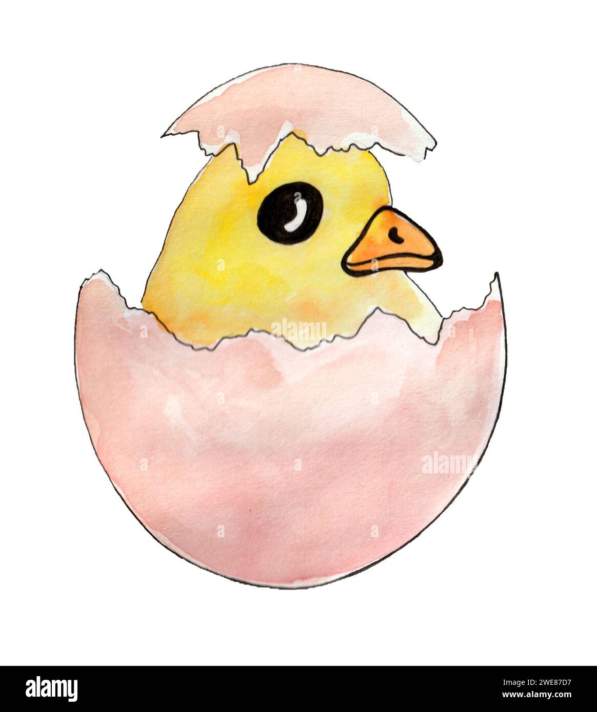 Illustration of chicken hatching from an egg. Isolated on white ...