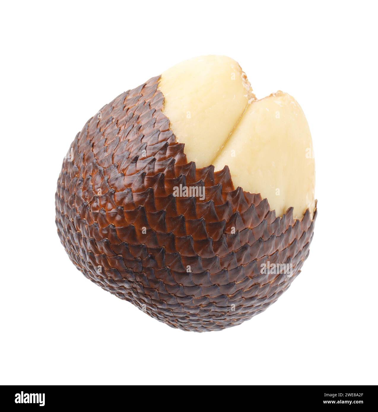 One delicious salak fruit hi-res stock photography and images - Alamy