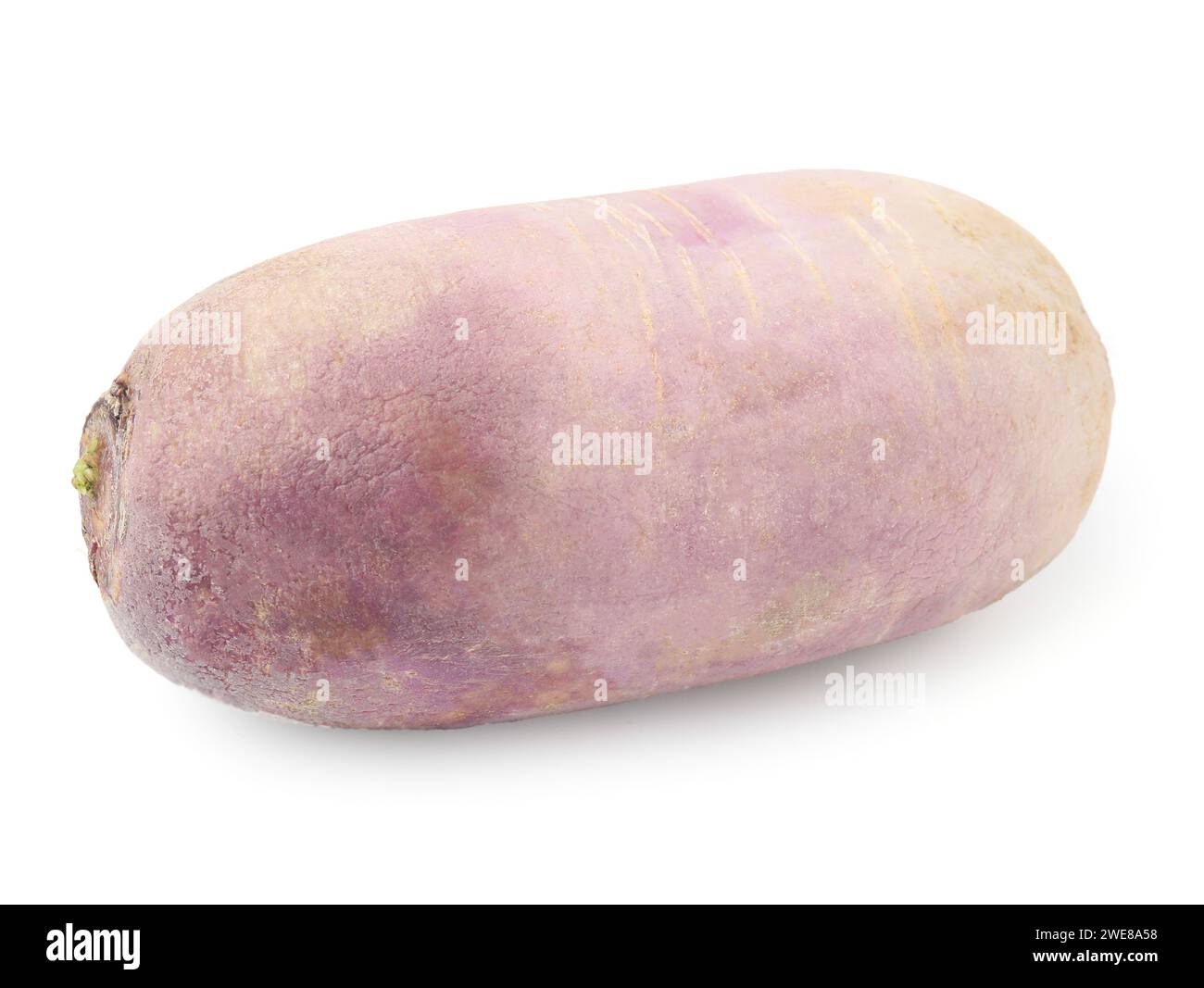 Ripe purple daikon radish isolated on white Stock Photo - Alamy
