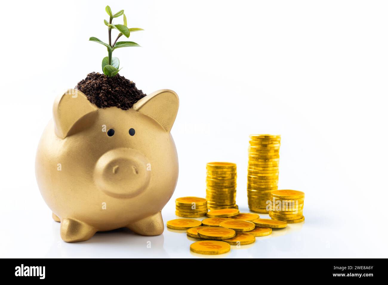 Stack of golden dollar coins and a piggy bank with newly grown plant ...