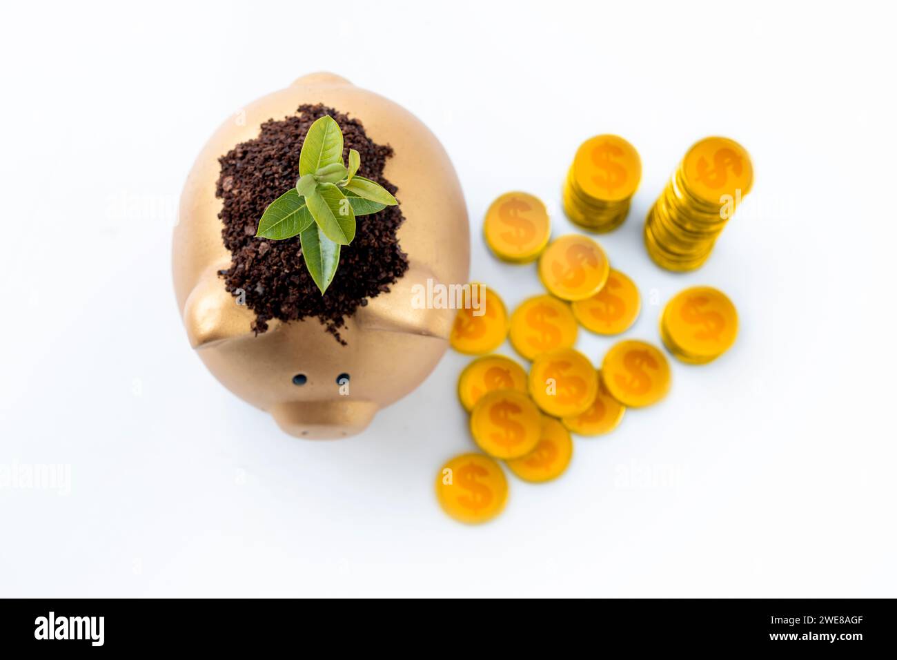 Stack of golden dollar coins and a piggy bank with newly grown plant ...