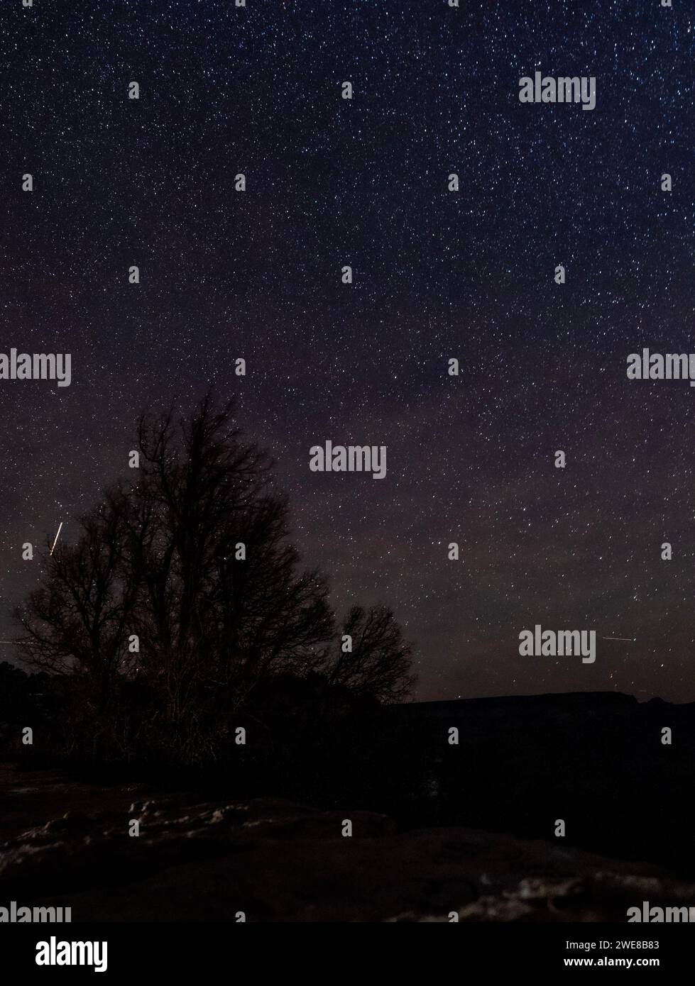 The starry night sky above cliffs and trees. Arizona Stock Photo - Alamy
