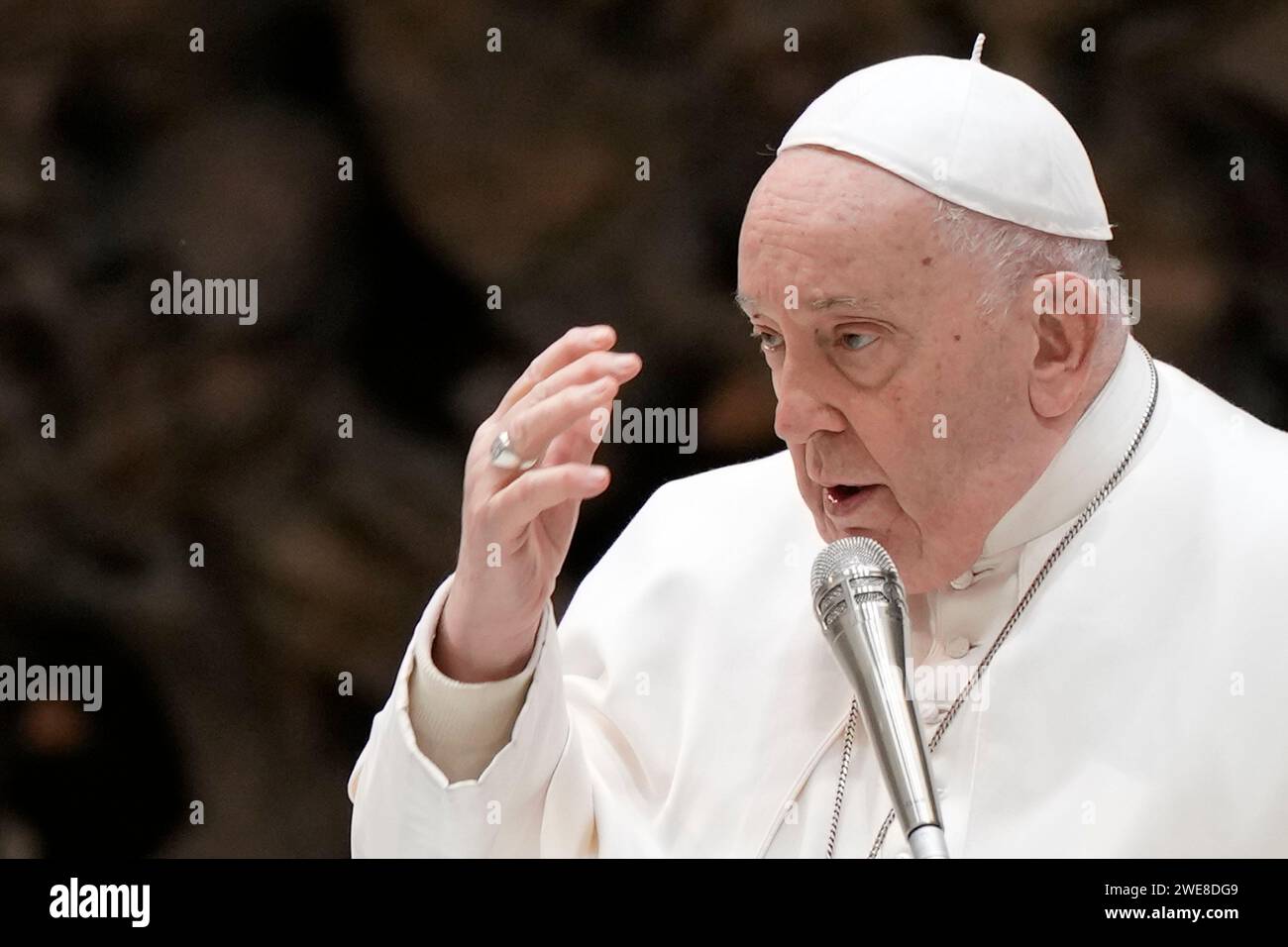 Pope Francis delivers his blessing during his weekly general audience ...