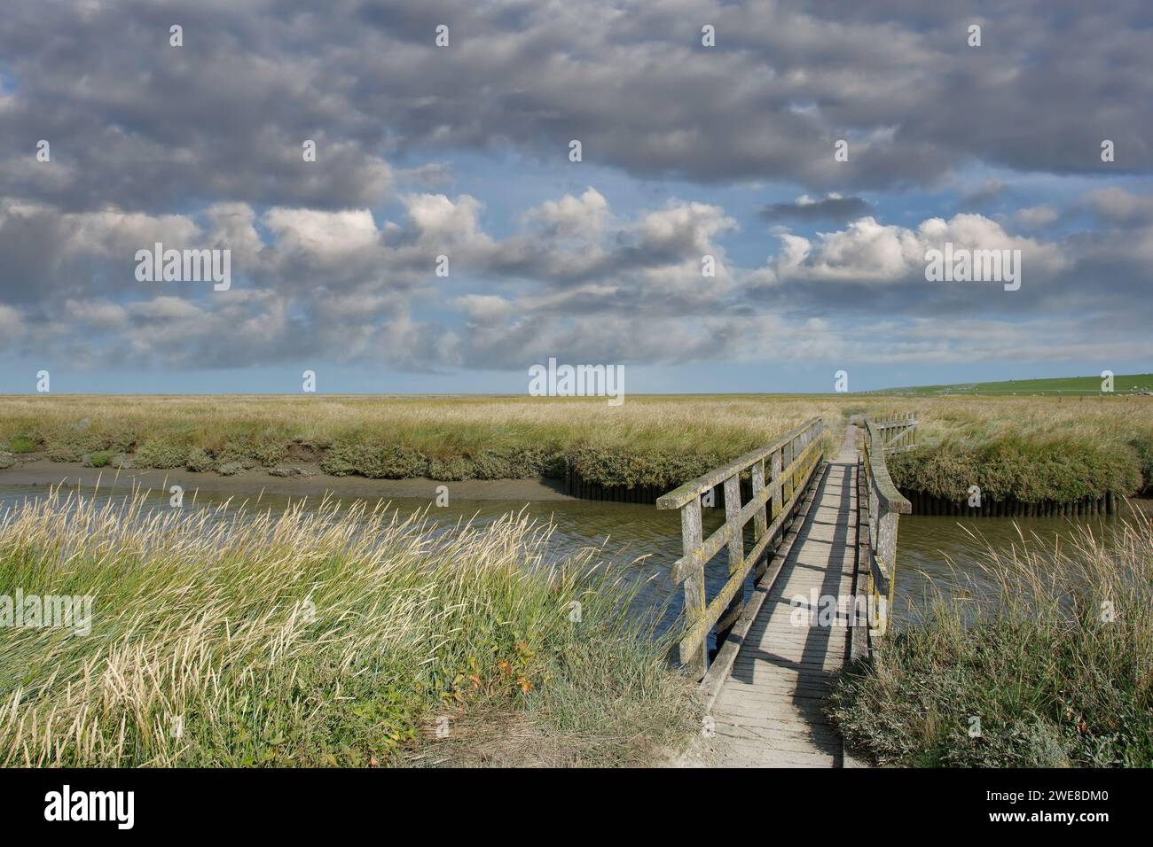 Salt Marsh at North Sea in North Frisia close to Westerhever Lighthouse ...