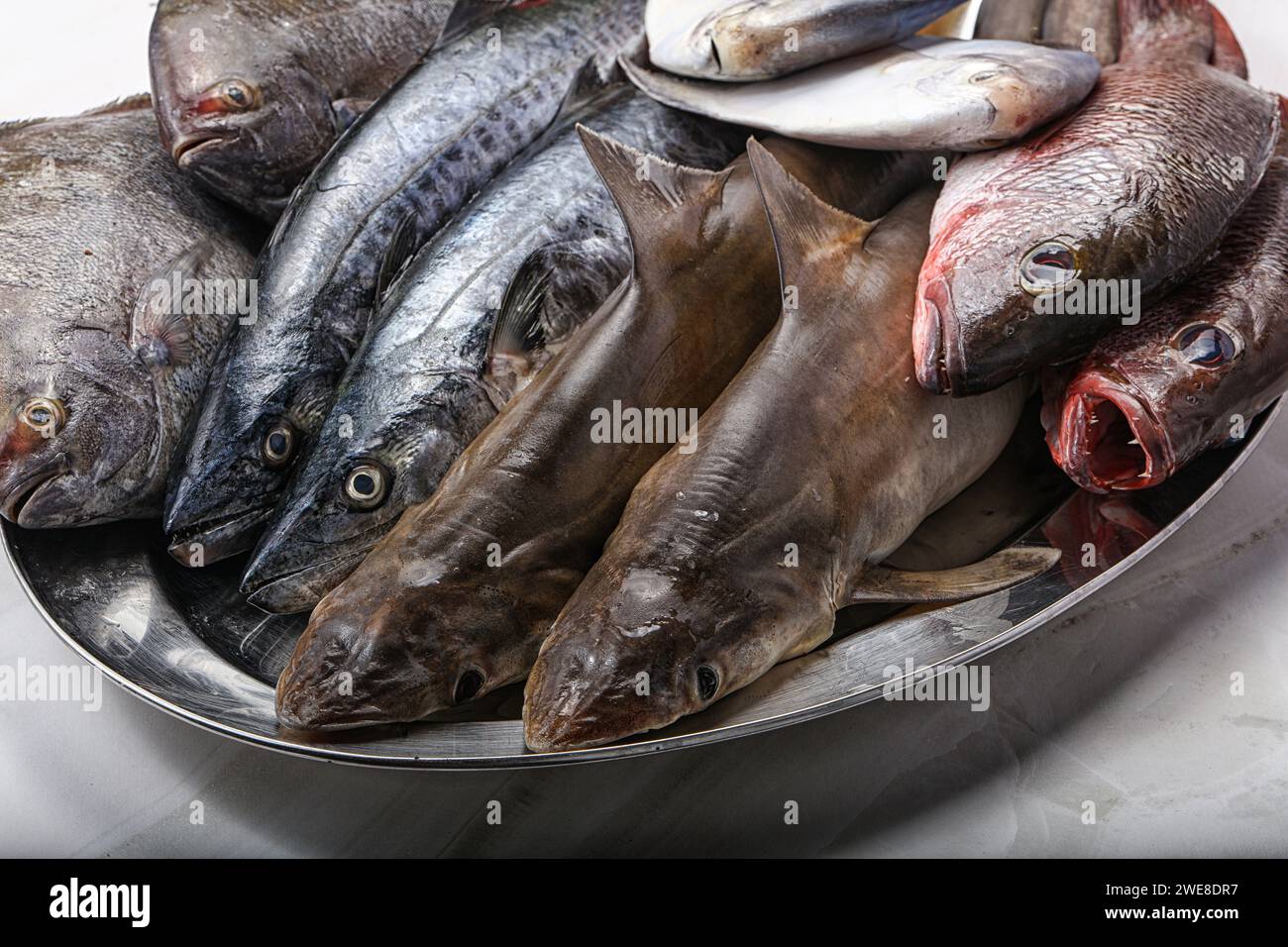 Kingfish tuna hi-res stock photography and images - Alamy