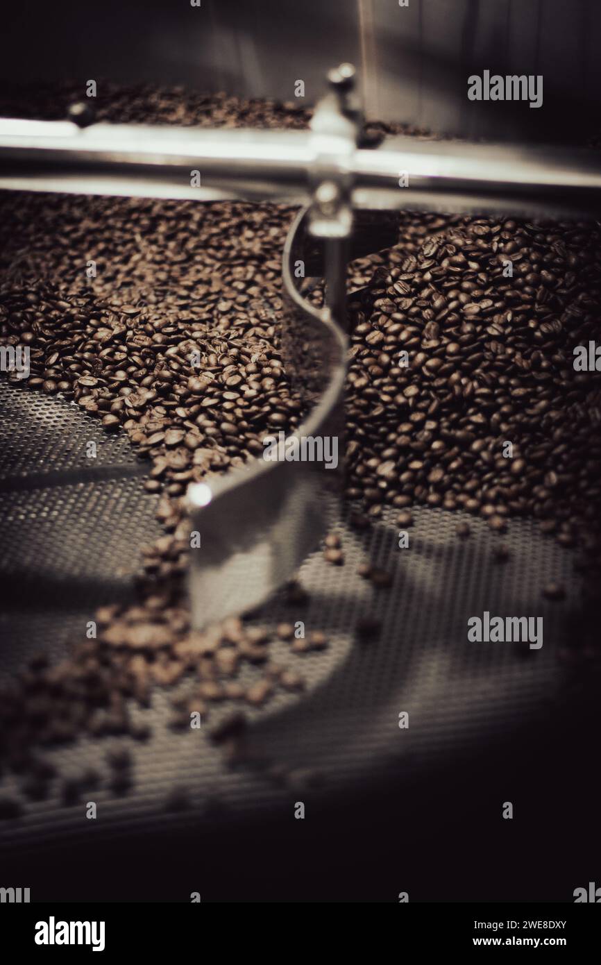 Close up of beans in a stainless steel industrial coffee roaster for an ...