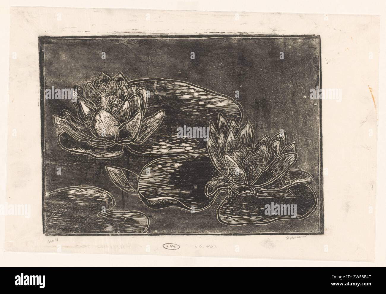 Waterlelies, Janus de Winter, 1892 - 1951 print Japanese paper ...