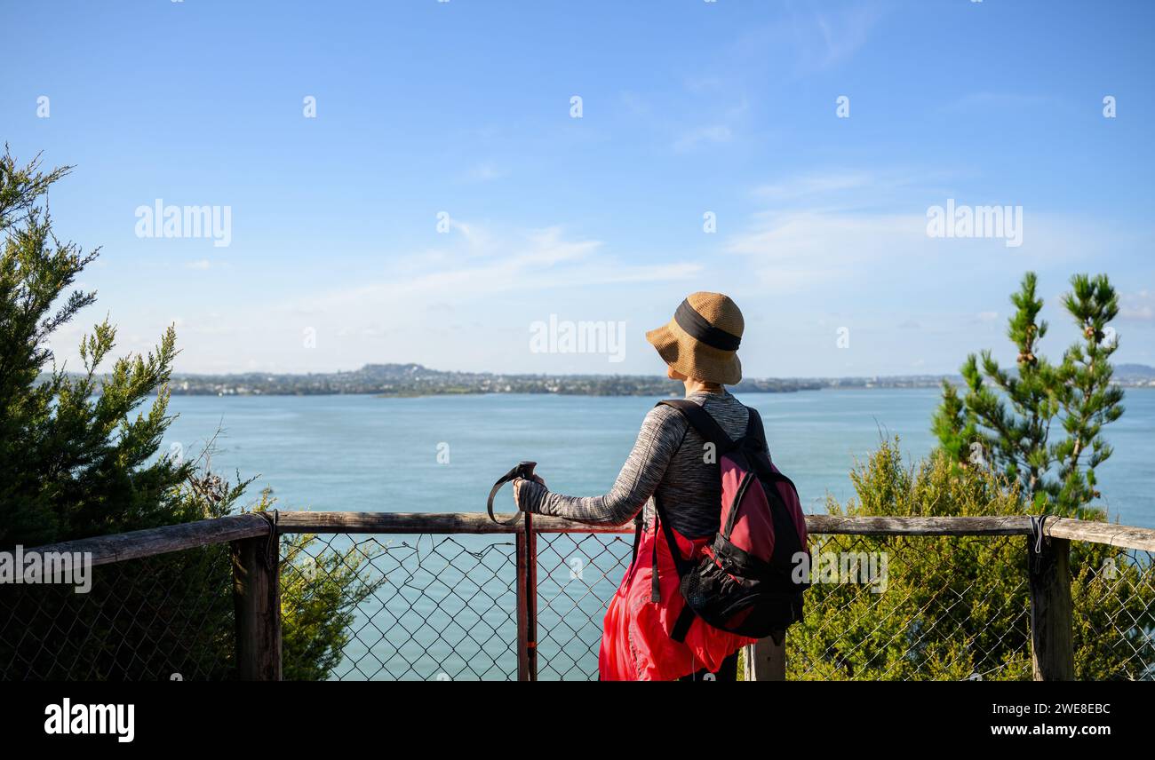 Kauri point centennial loop track hi-res stock photography and images ...