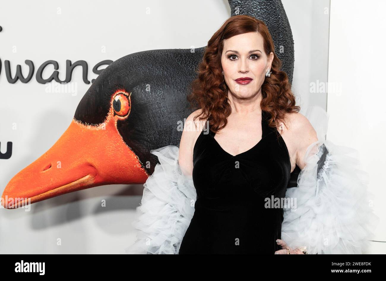 New York, New York, USA. 23rd Jan, 2024. Molly Ringwald wearing dress ...