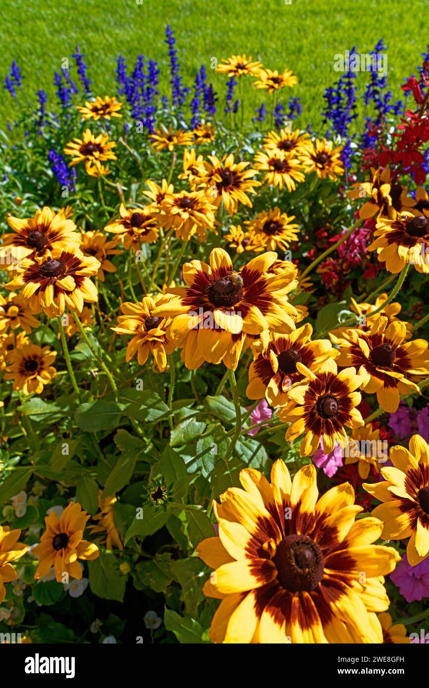 Gelb blau hi-res stock photography and images - Alamy