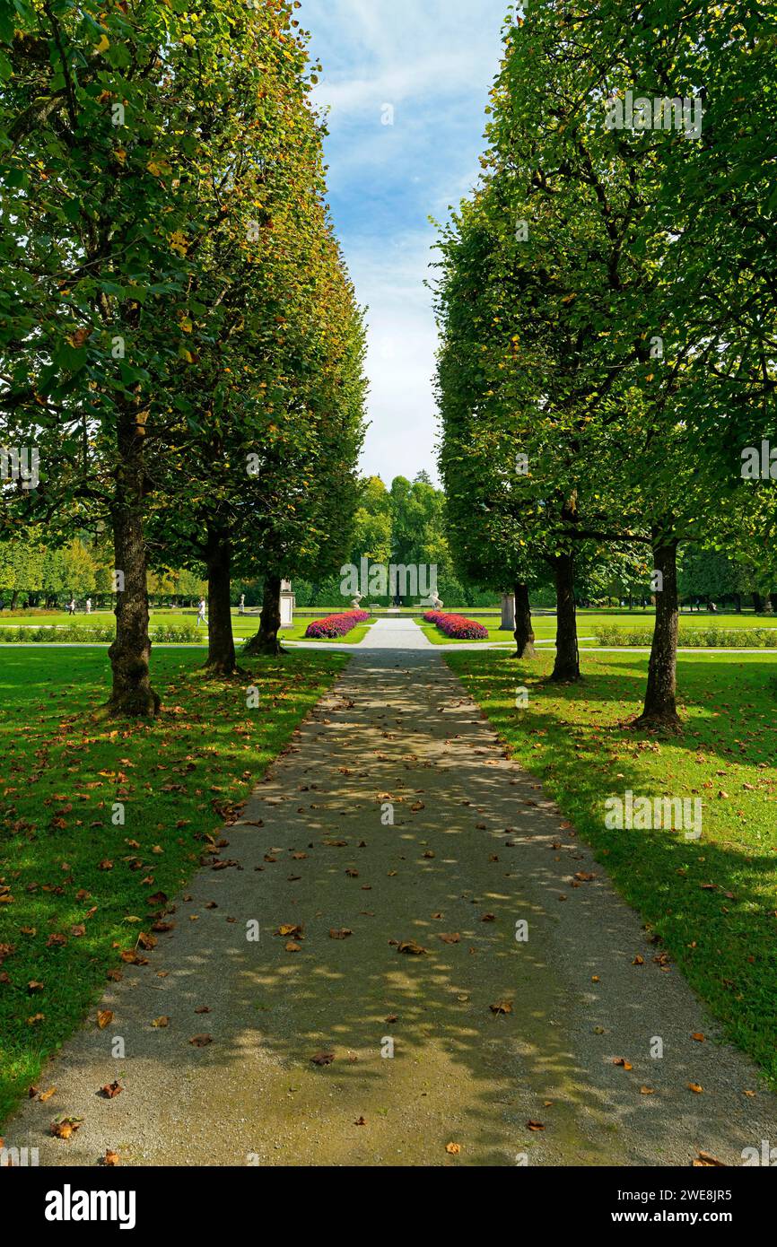 Allee with flowers hi-res stock photography and images - Alamy