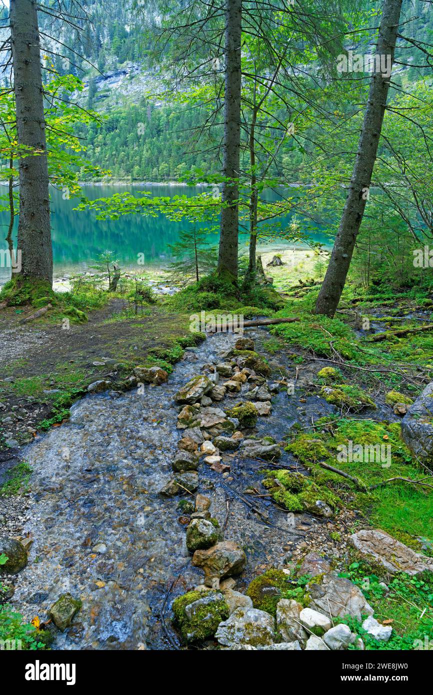 Mountains lake gosau vorderer hi-res stock photography and images - Alamy