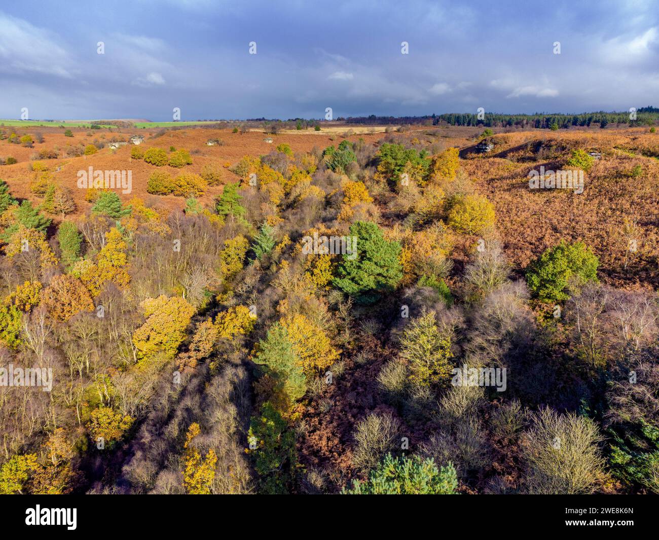 Aerial view of Dalby Forest with Autumn colour. North Yorkshire, UK ...