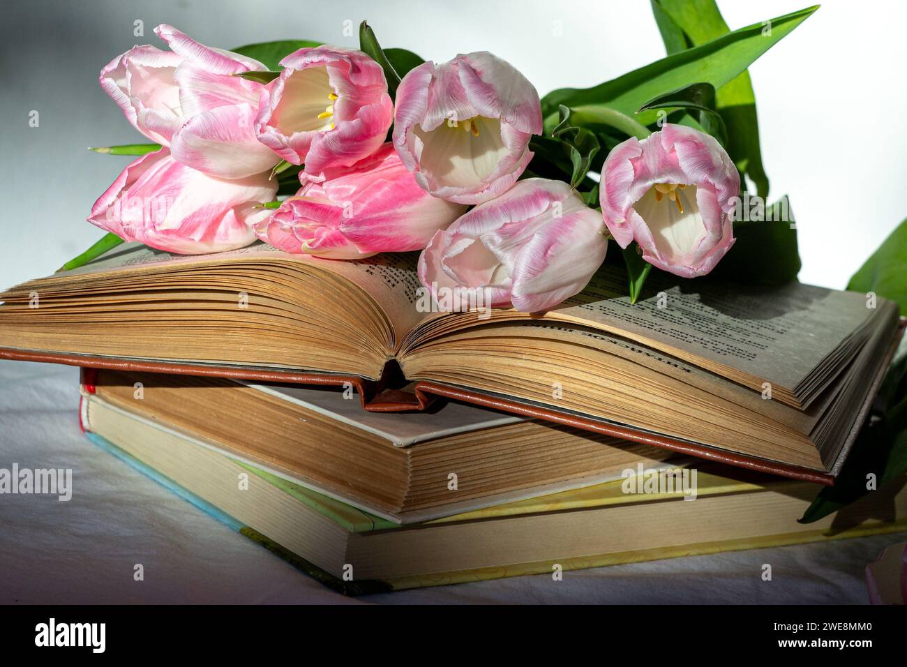 Stack of three books hi-res stock photography and images - Alamy