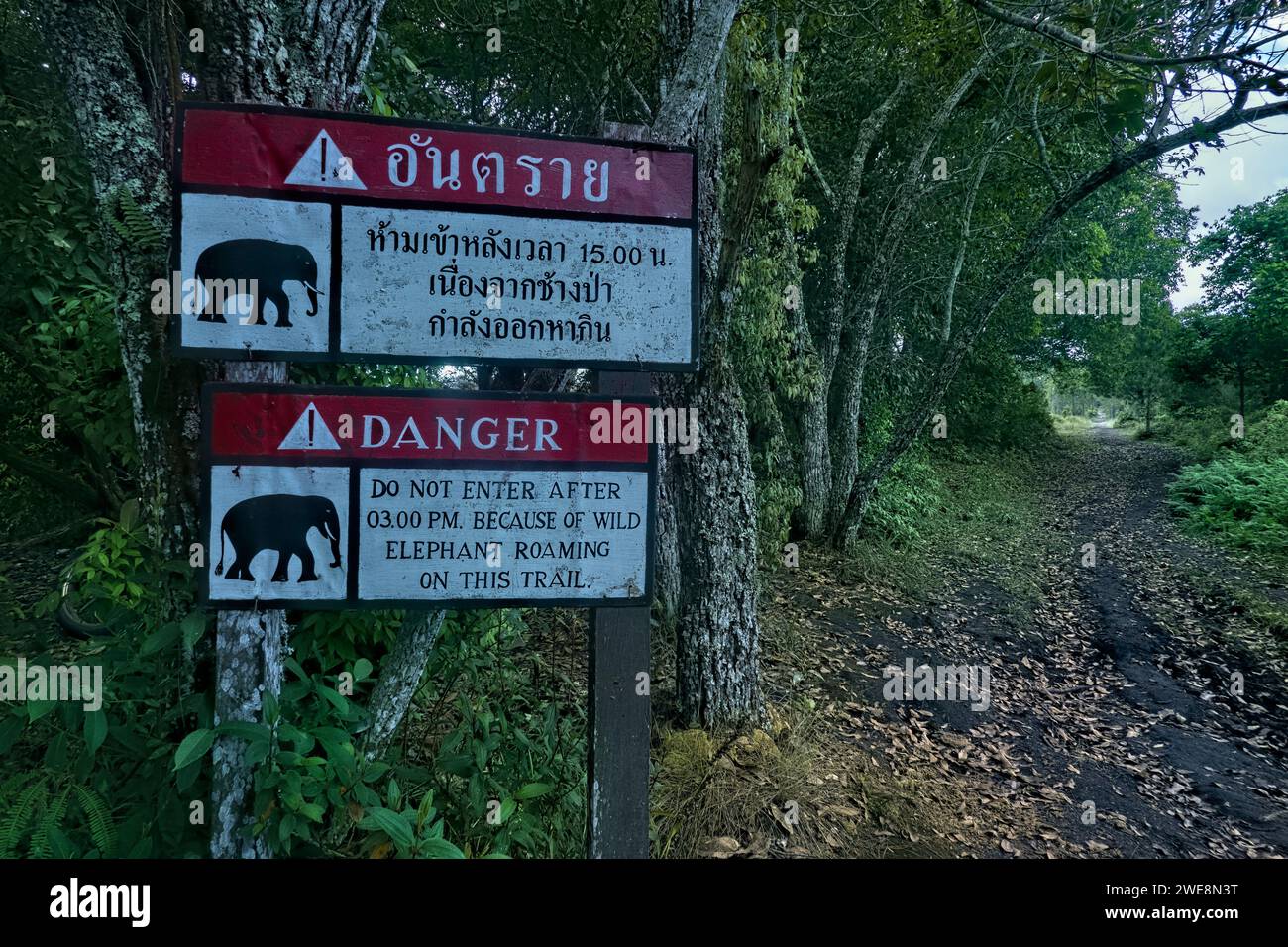 Wild elephant warning sign, Phu Kradueng National Park, Loei, Thailand ...