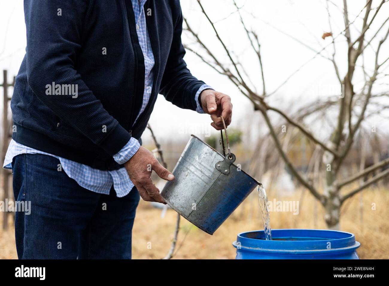 Farmer pouring water with a bucket outdoors on a farm. Water saving ...