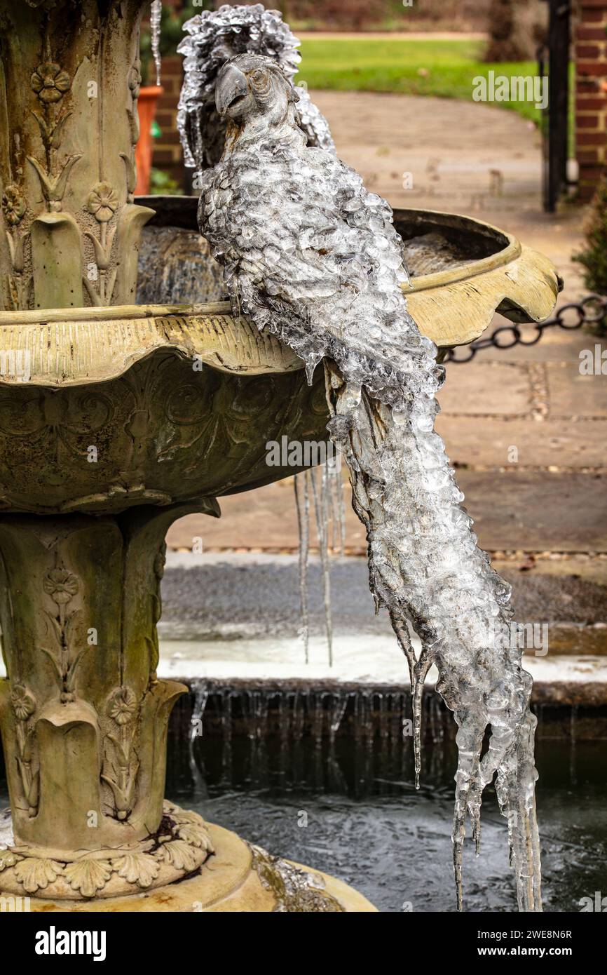 Frozen bird on fountain RHS Wisley in winter Stock Photo - Alamy