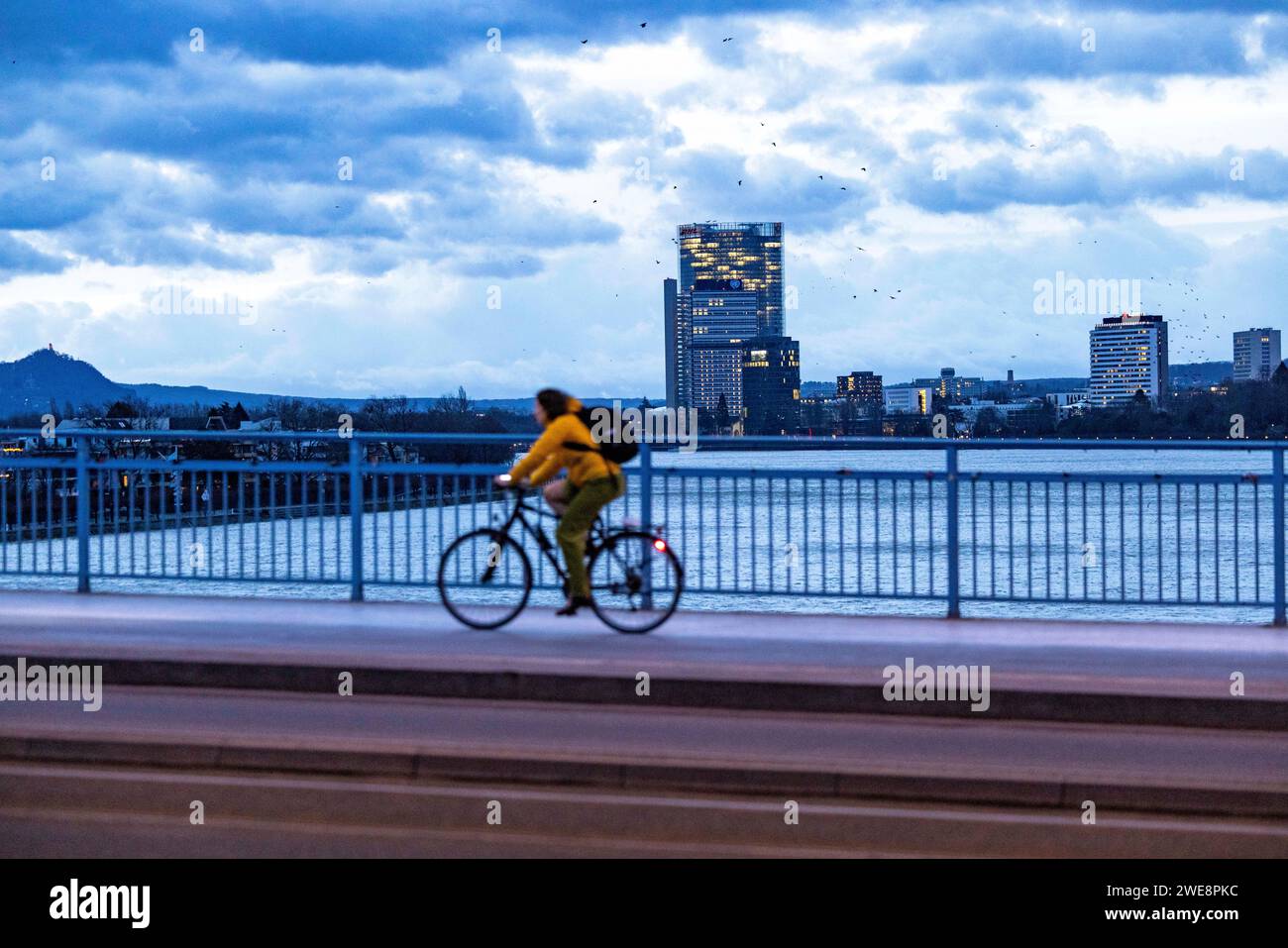 Bonn, Germany. 24th Jan, 2024. A cyclist rides on the Kennedy Bridge ...