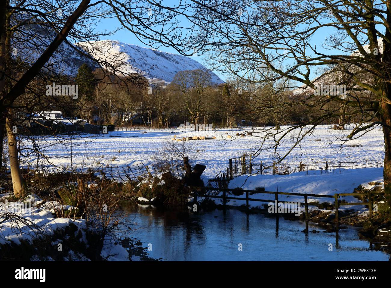 Grasmere Winter. Sheep in snow covered field near village. Blue sky ...