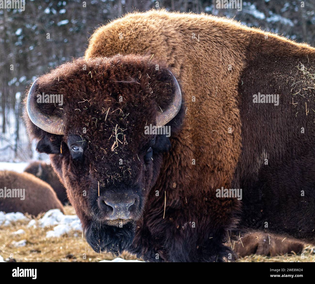 Strong slope hi-res stock photography and images - Alamy