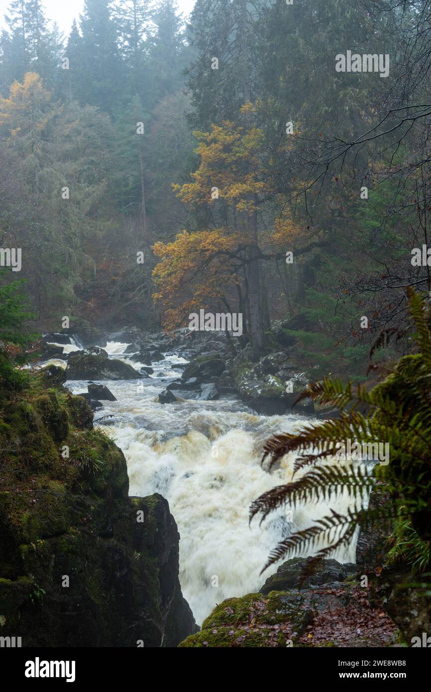 River Braan in the Craigvinean Forest park of the Hermitage walk in ...