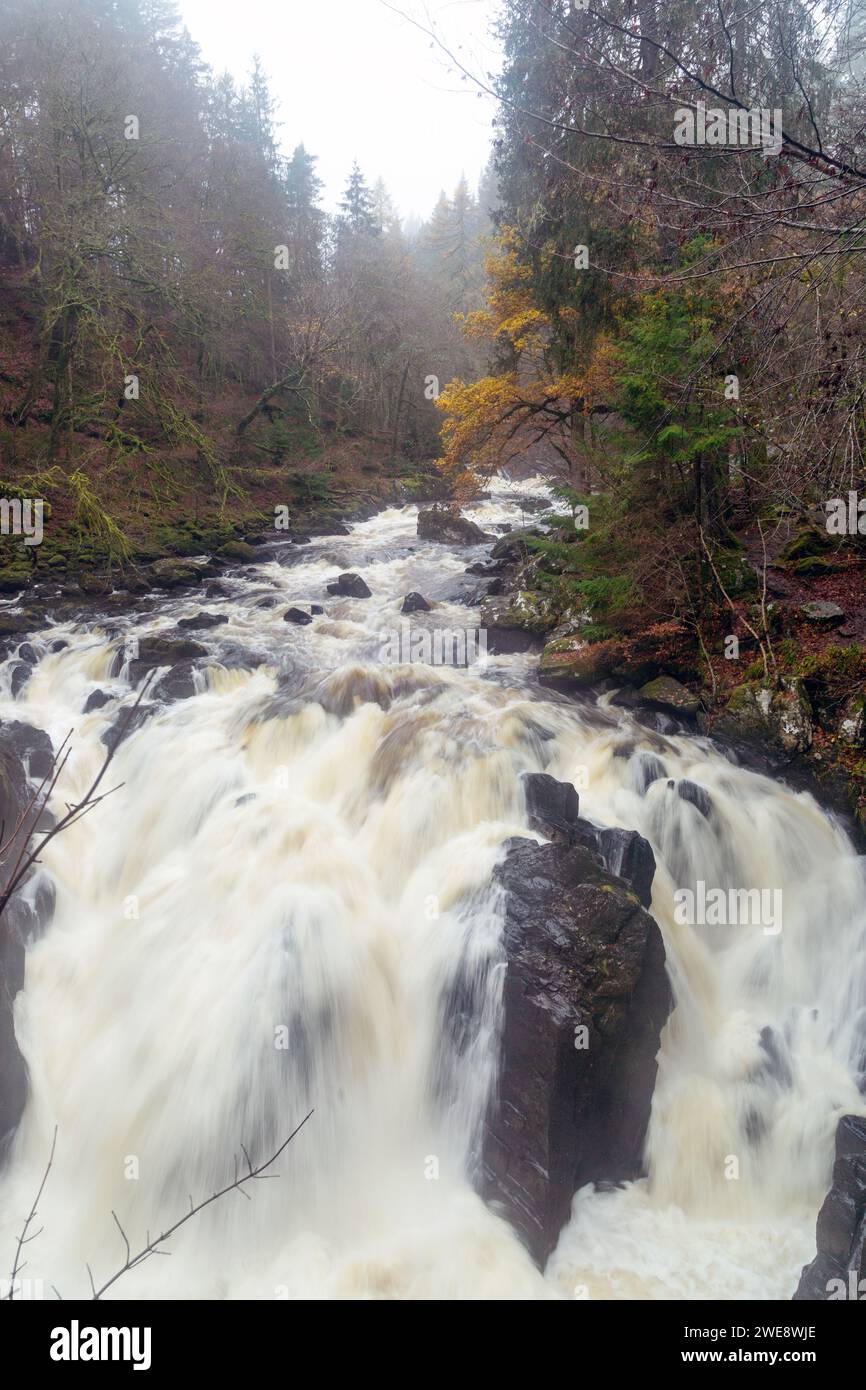 River Braan in the Craigvinean Forest park of the Hermitage walk in ...