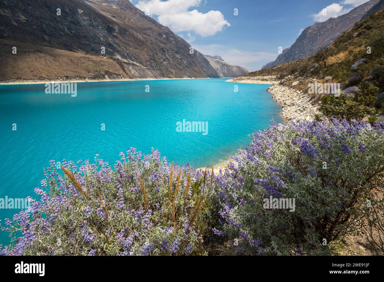Beautiful lake Paron in Cordillera Blanca, Peru, South America Stock ...