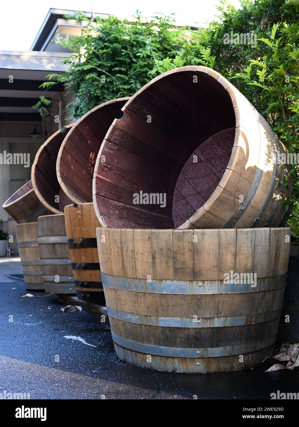 Open wooden barrel, the front one in a row of four, with one half of ...