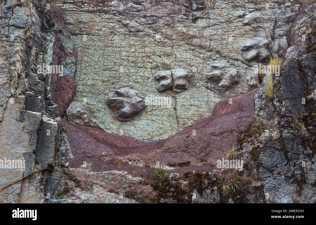 Dinosaur footprint andes hi-res stock photography and images - Alamy