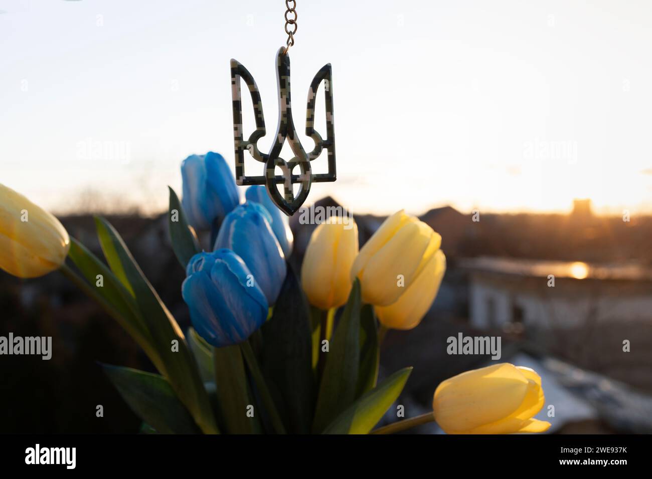 bouquet of yellow and blue tulips and the national symbol of the ...