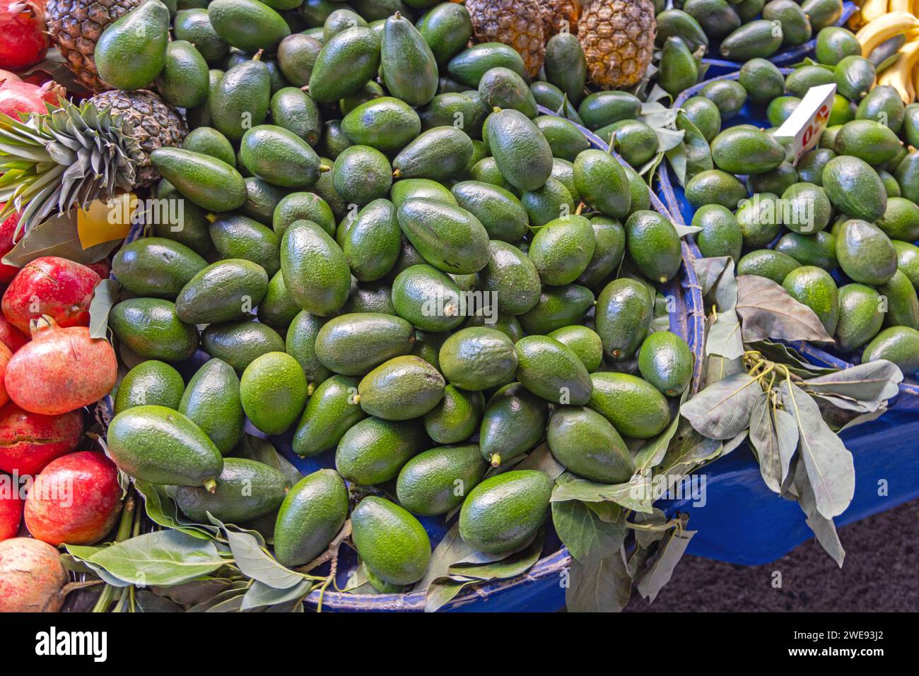 Bunch of avocados hi-res stock photography and images - Alamy
