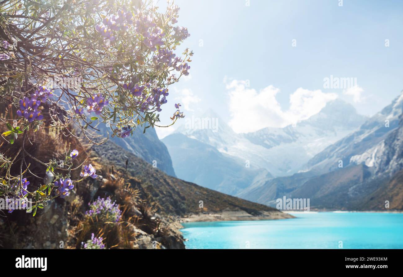 Beautiful lake Paron in Cordillera Blanca, Peru, South America Stock ...