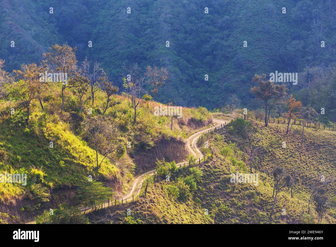 Rural road in the Colombia, South America Stock Photo - Alamy