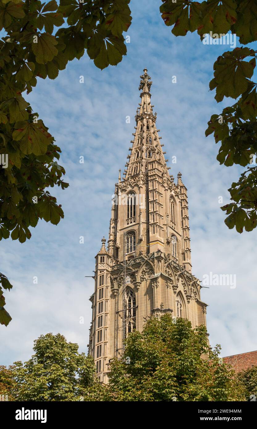 Bern Minster Cathedral of St. Vincent Stock Photo - Alamy