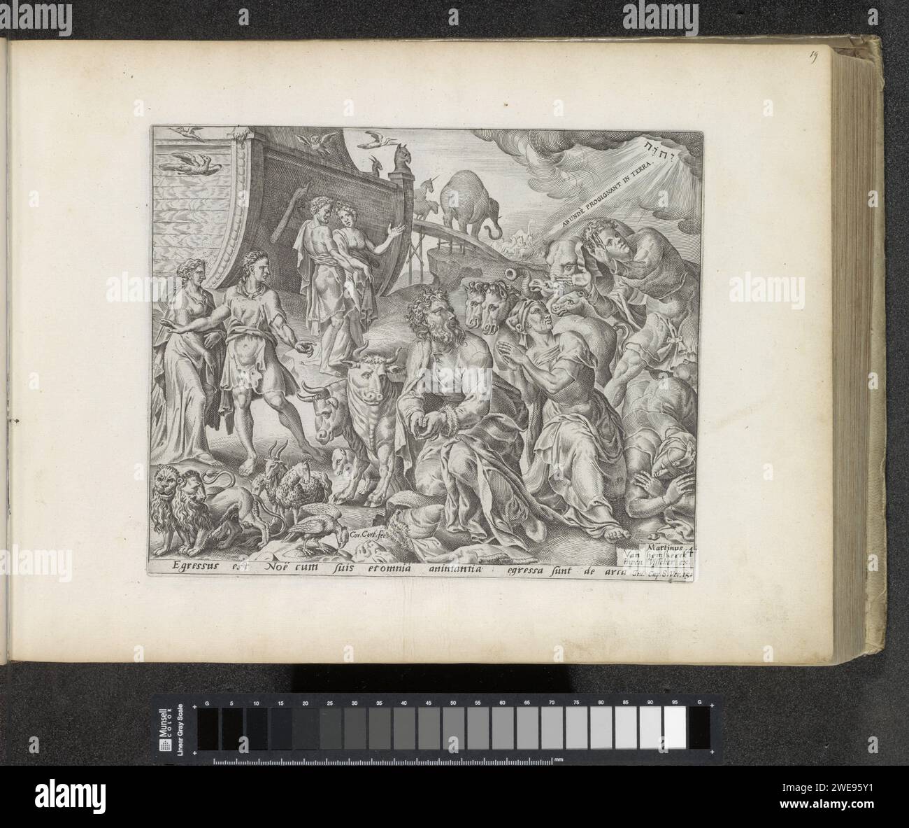 Noah and the animals leave the ark hi-res stock photography and images ...