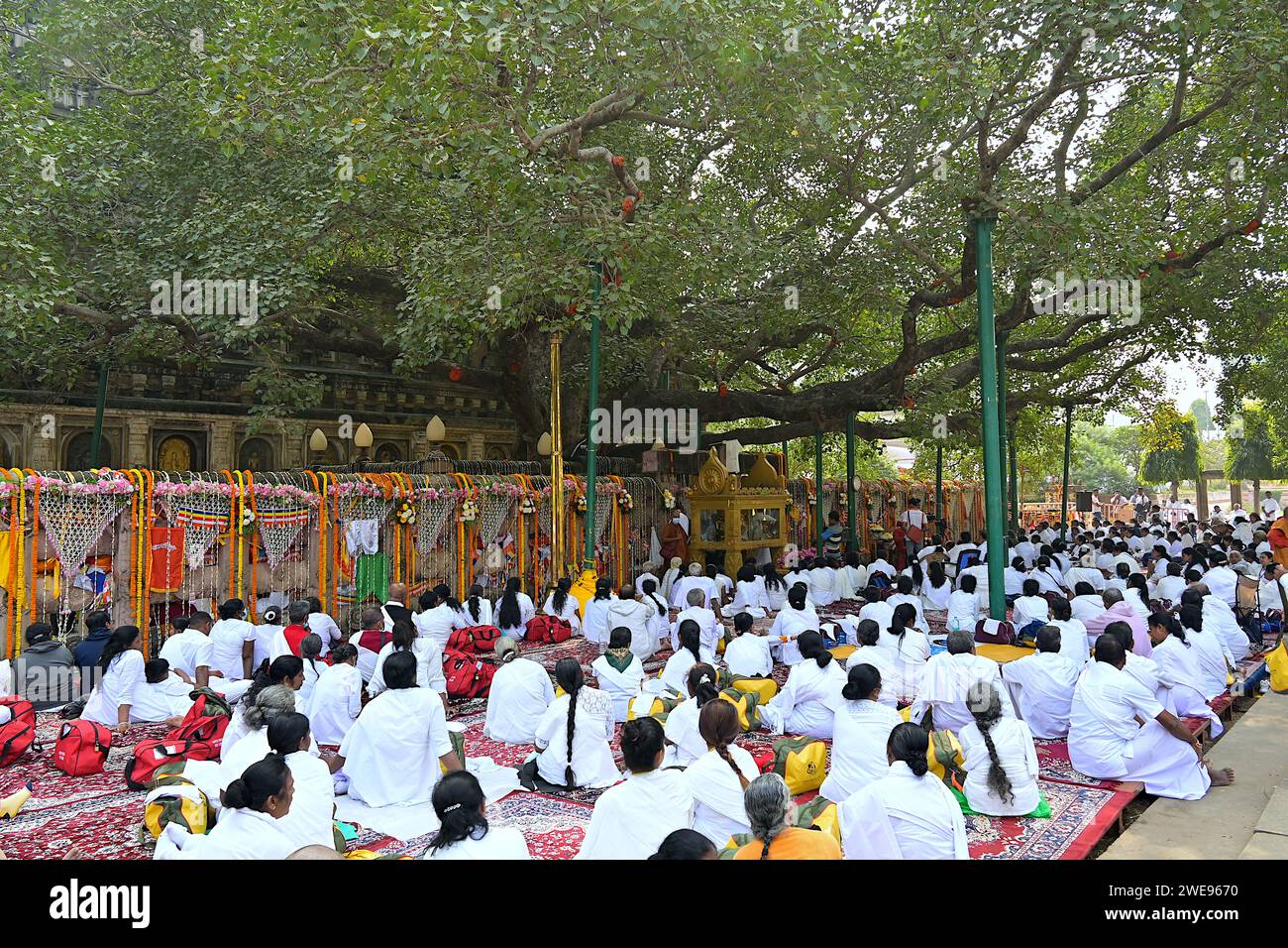 Large group of pilgrims seated alongside the Bodhi Palanka, the Place ...