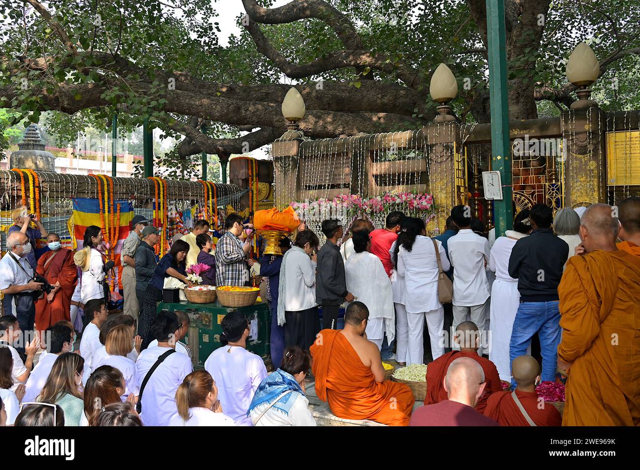 Large group of pilgrims paying homage at the Bodhi Palanka, the Place ...