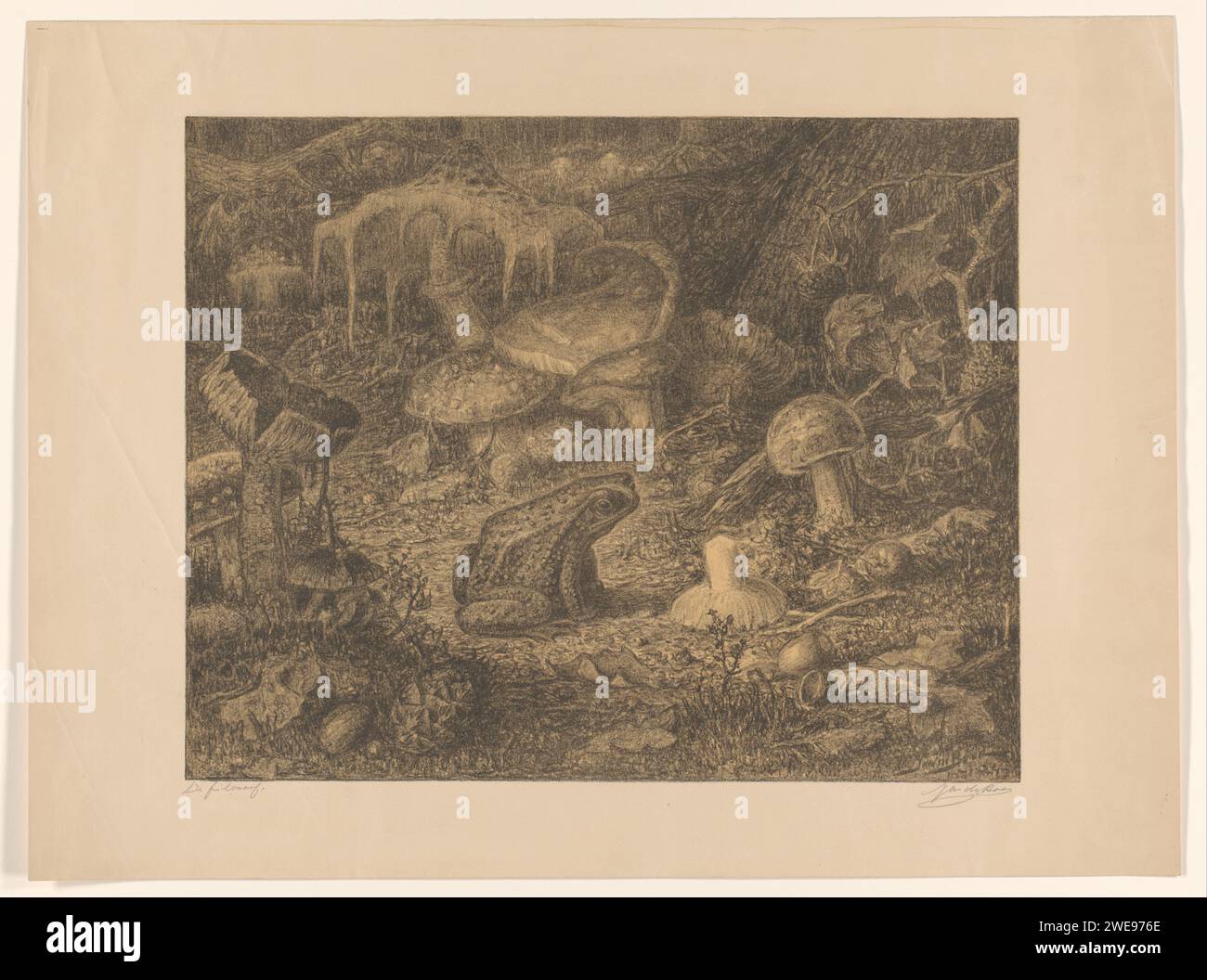 Jan de boer hi-res stock photography and images - Alamy