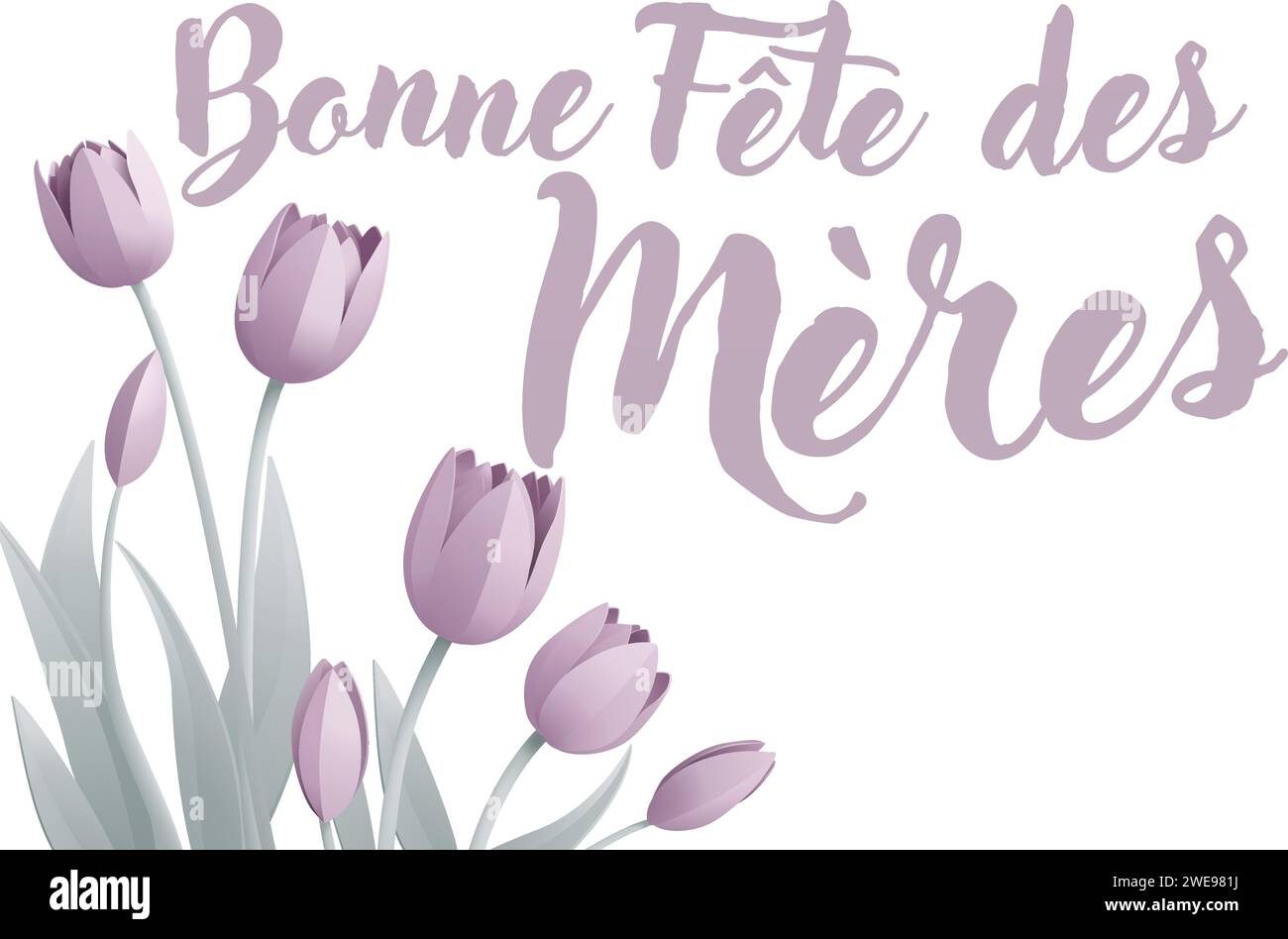 Mothers Day French Bonne Fete Des Meres Design Stock Vector Image & Art ...