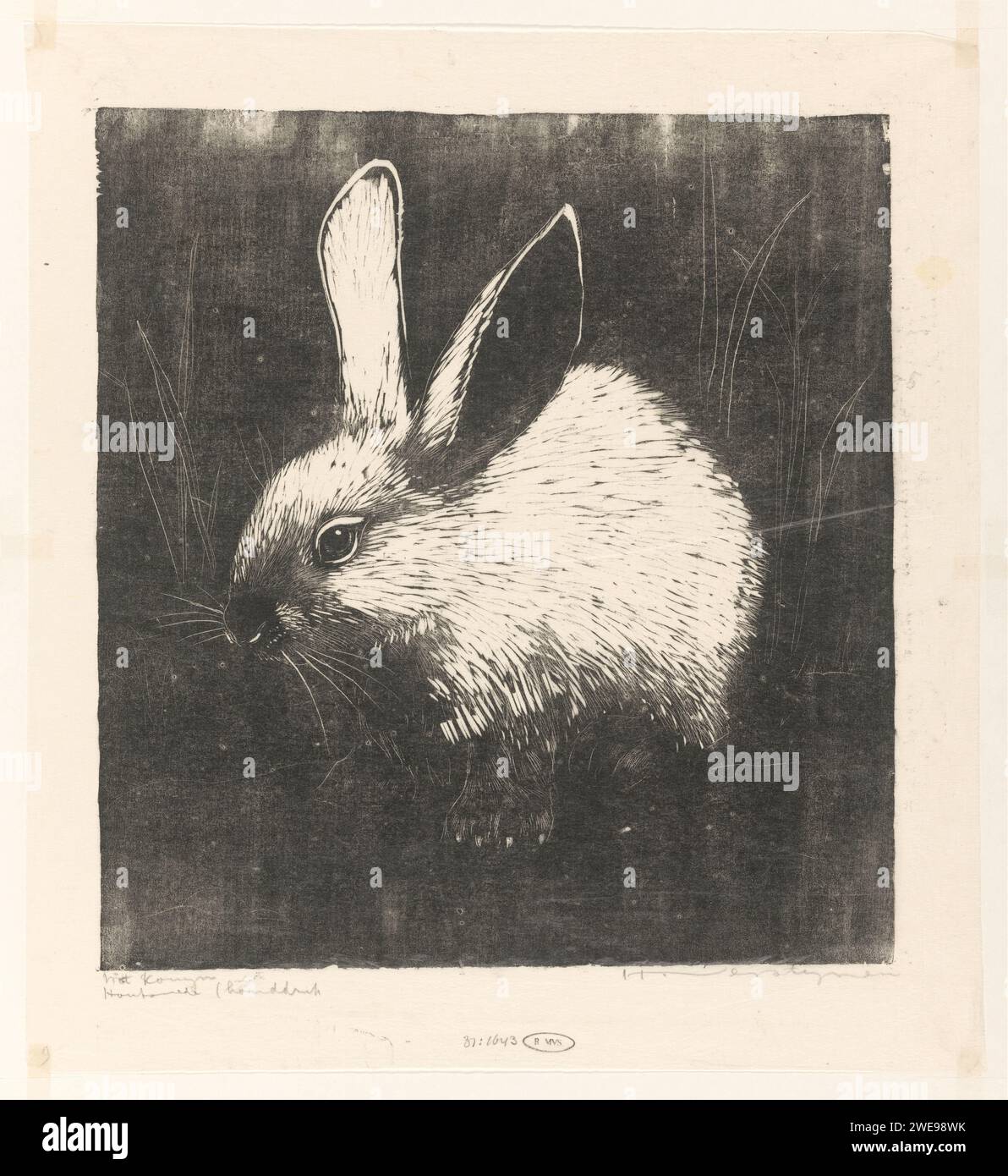 Het Konijn, Henri Verstijnen, 1892 - 1931 print paper rodents: rabbit ...