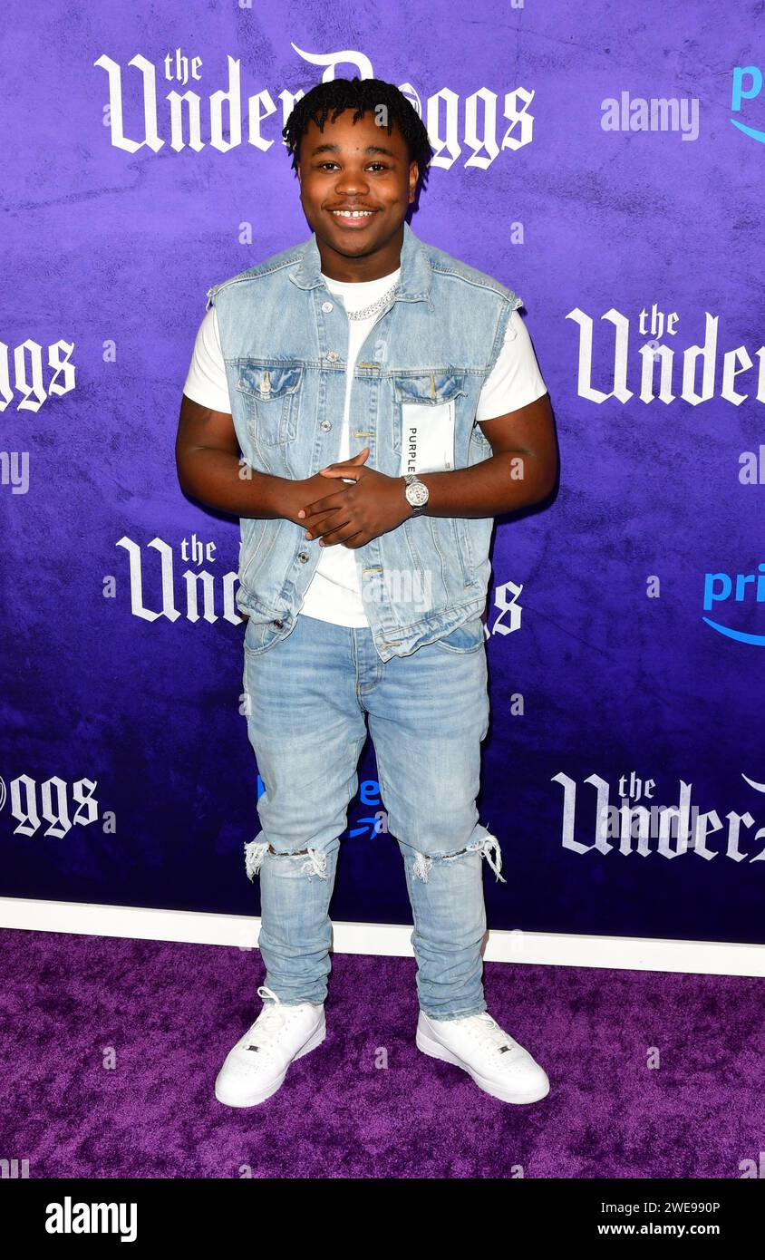 Culver City, Ca. 23rd Jan, 2024. Jayln Hall at the LA Premiere of ...