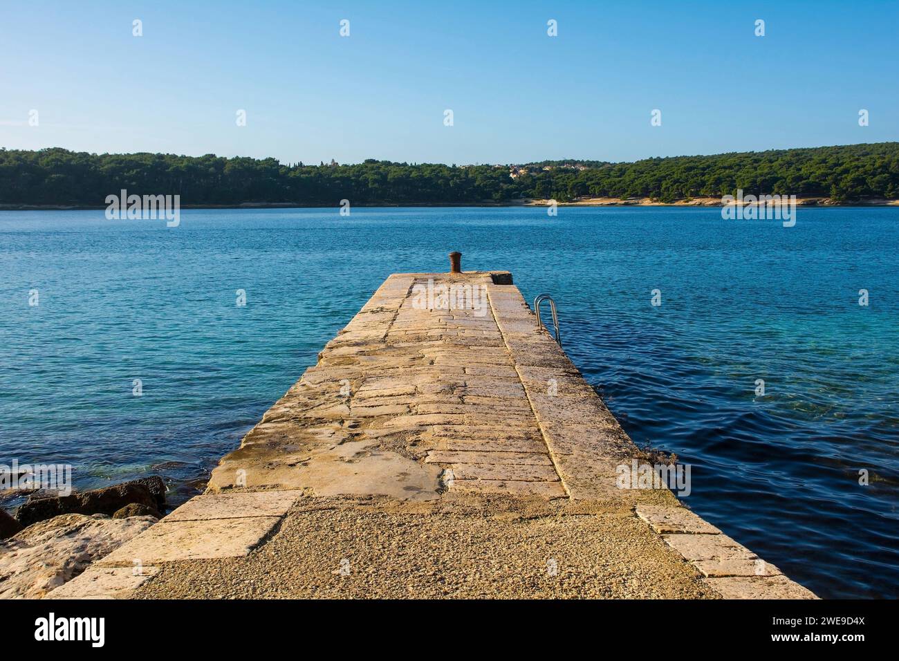 Kasteja forest park hi-res stock photography and images - Alamy