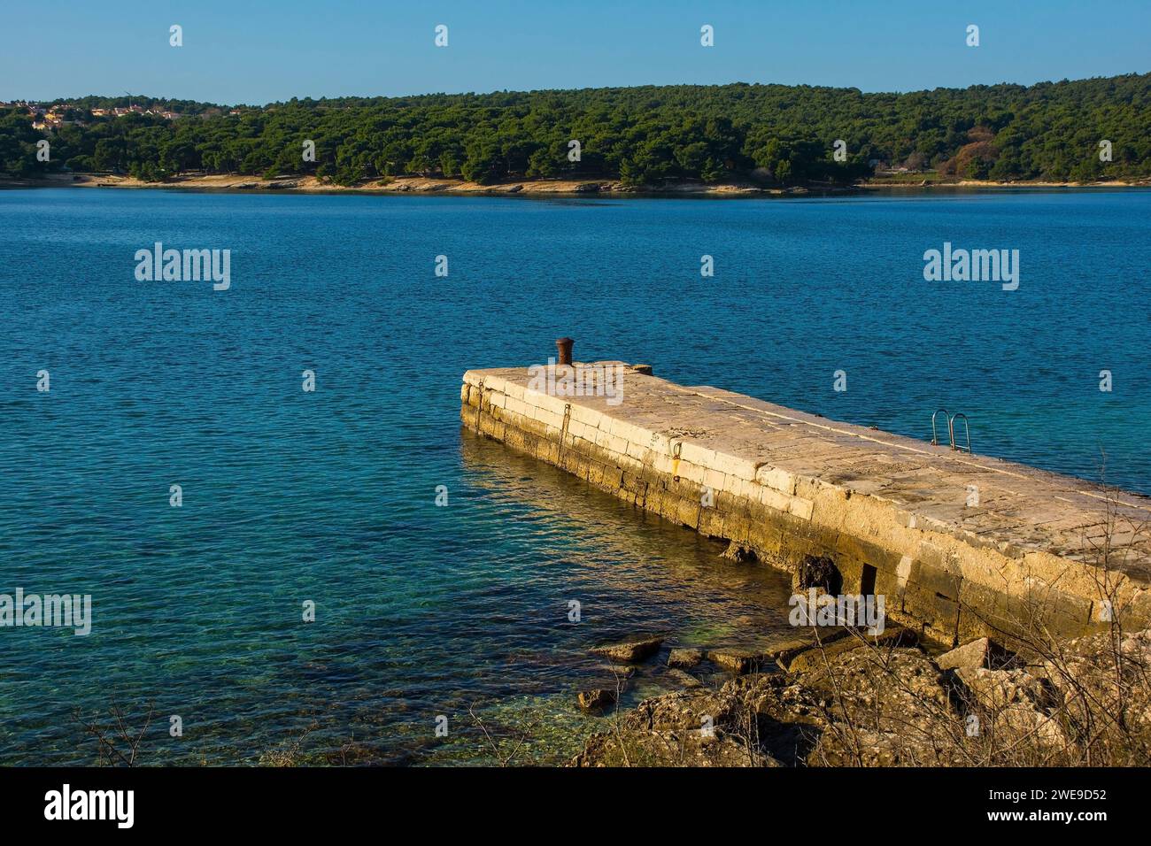 Kasteja forest park hi-res stock photography and images - Alamy