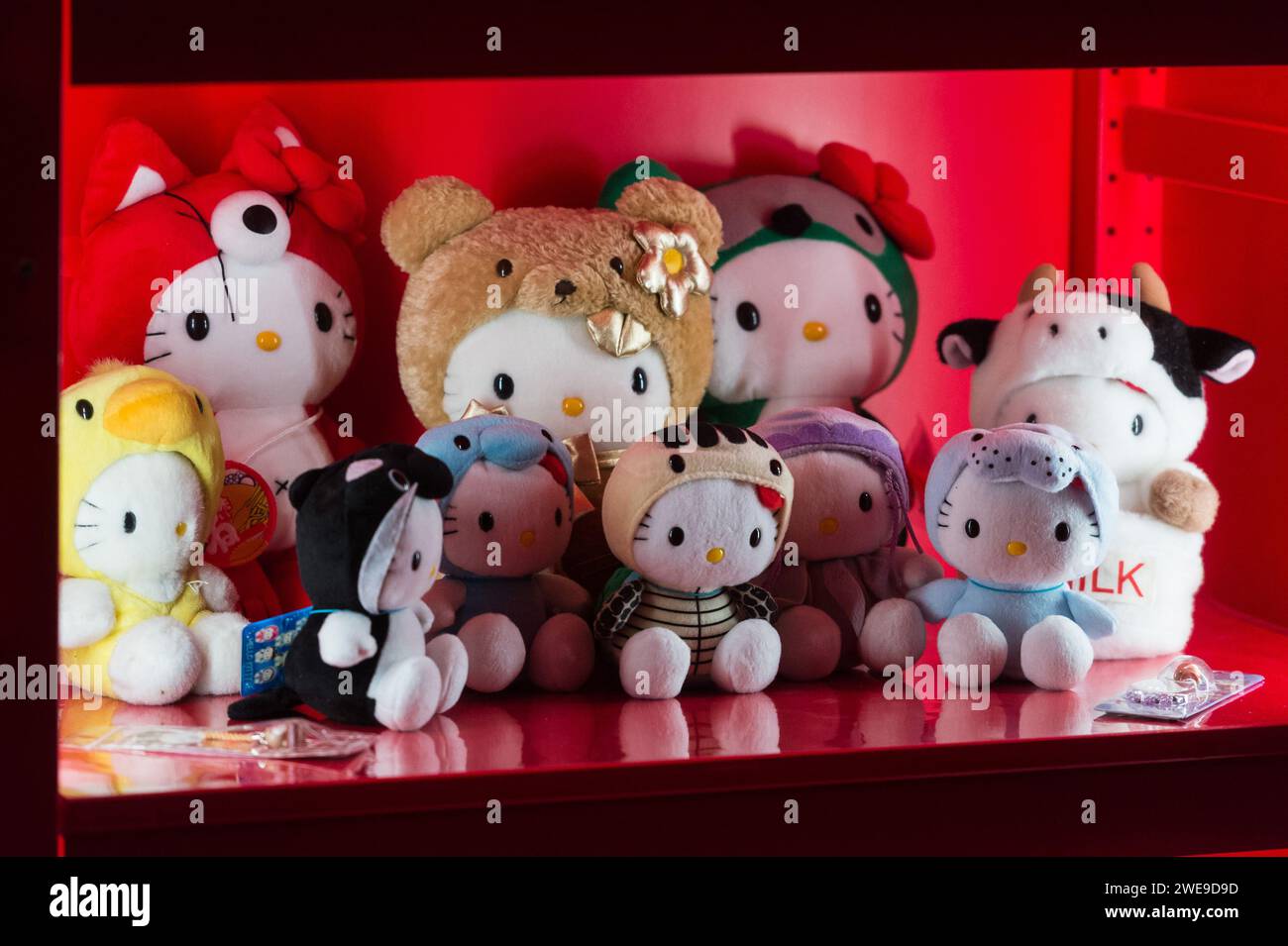 London, UK. 24th Jan, 2024. LONDON, UNITED KINGDOM - JANUARY 24, 2024 ...